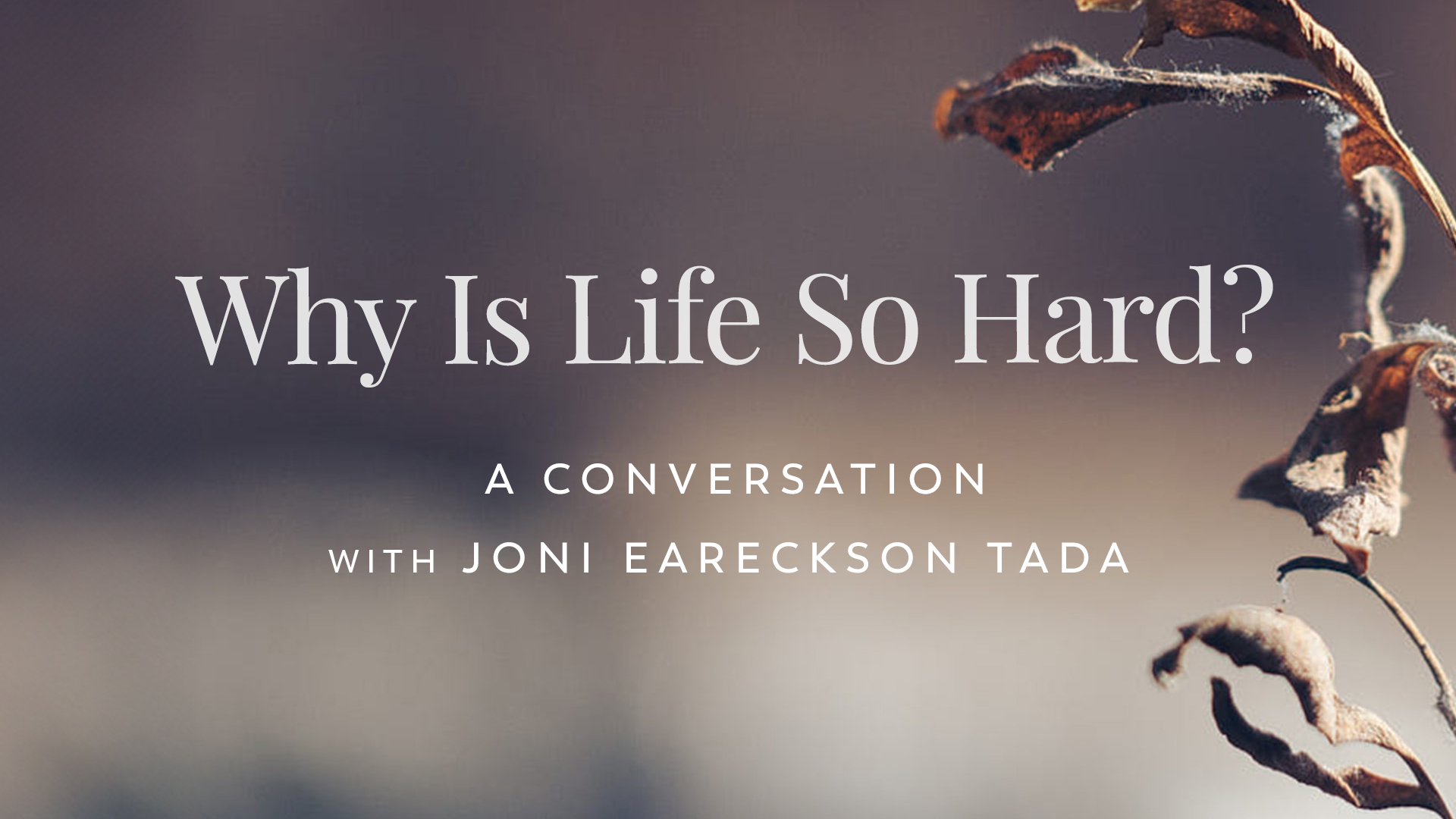 Why Is Life So Hard? | Revive Our Hearts Episode | Revive Our Hearts