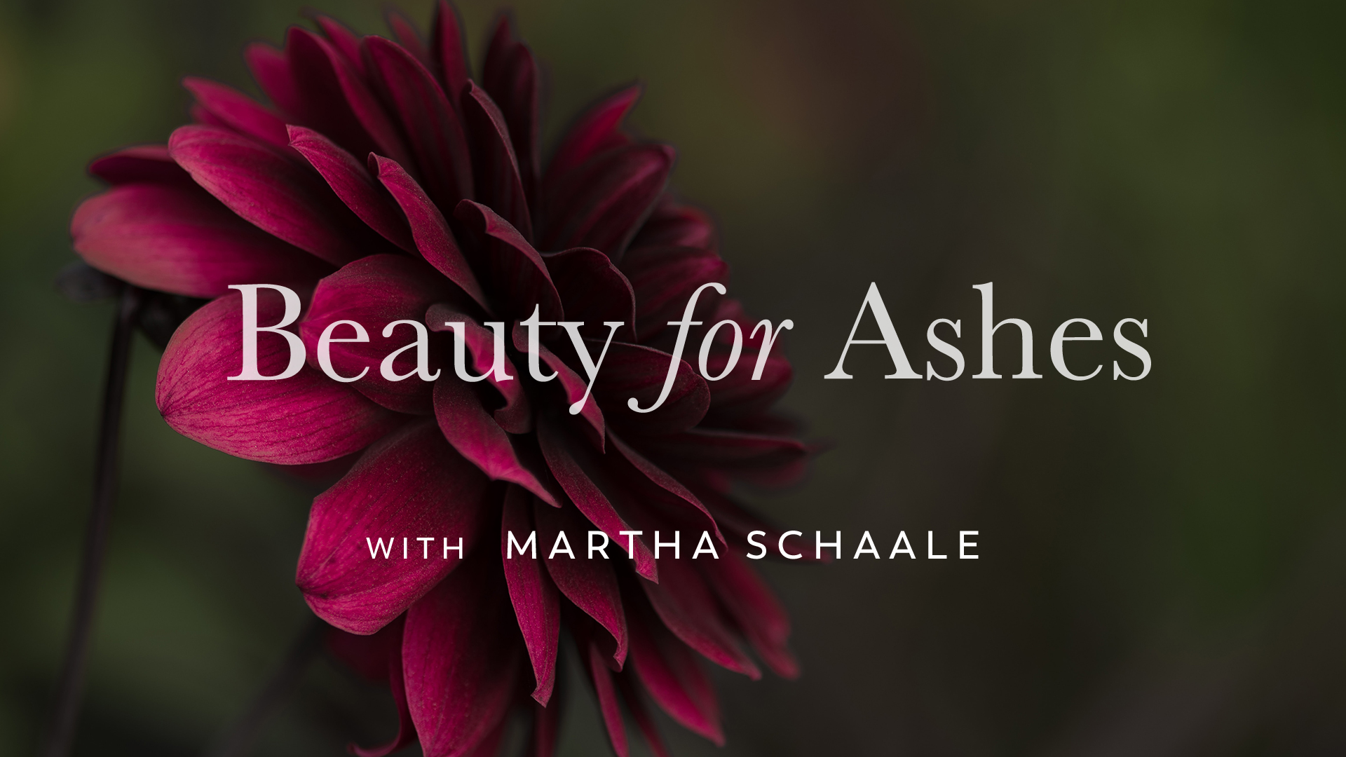 The Power of Forgiveness | Revive Our Hearts Episode | Revive Our Hearts