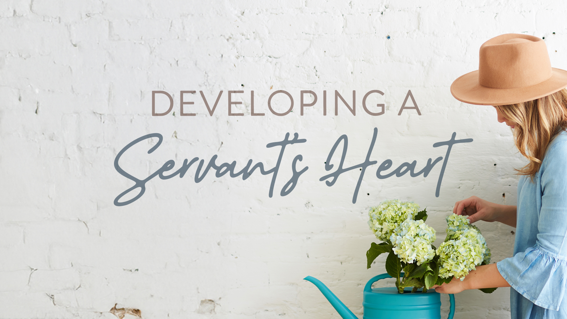 Servant Heart 180+ Servant Heart Stock Photos, Pictures & Royalty Free