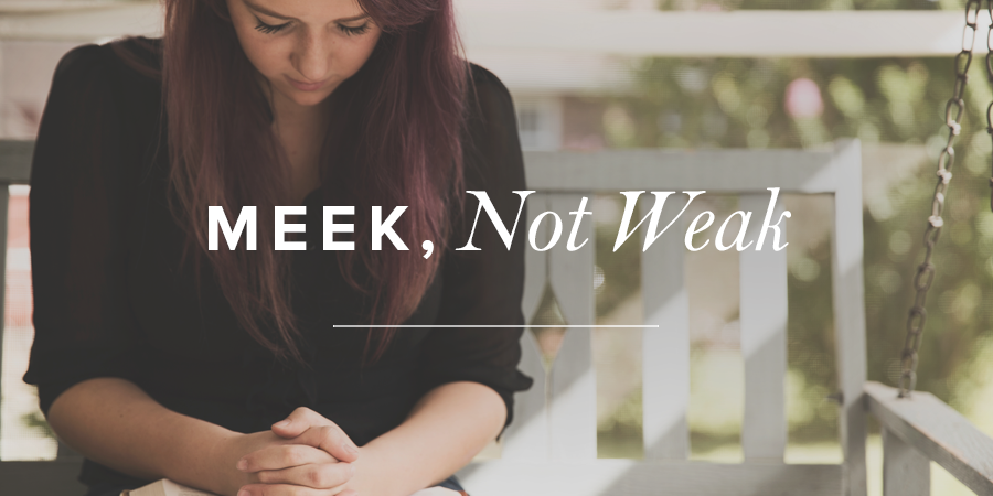 Meek, Not Weak | Revive Our Hearts Blog | Revive Our Hearts