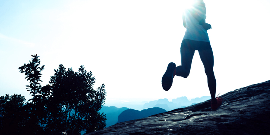 Faithful to the Finish Line, Day 9 | Articles | Revive Our Hearts