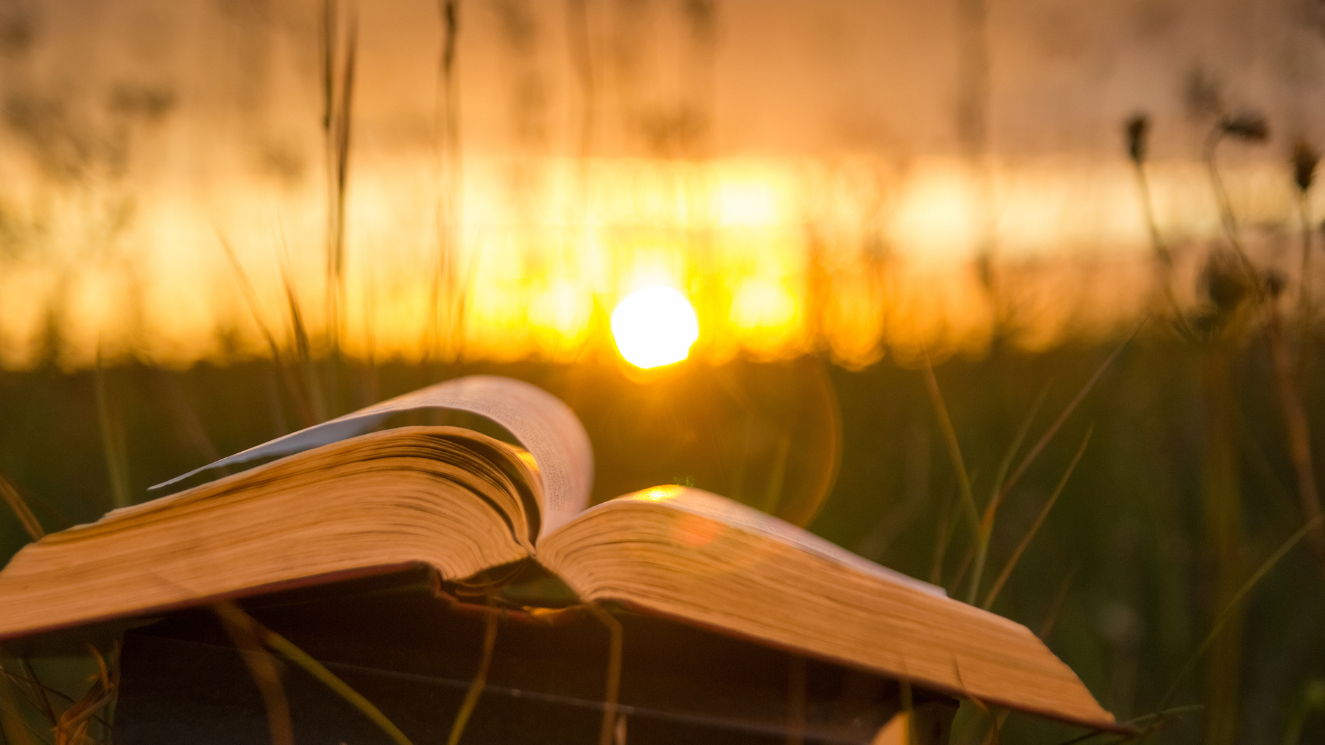 The Deep Well with Erin Davis podcast episodes by season: Stay Awake ...