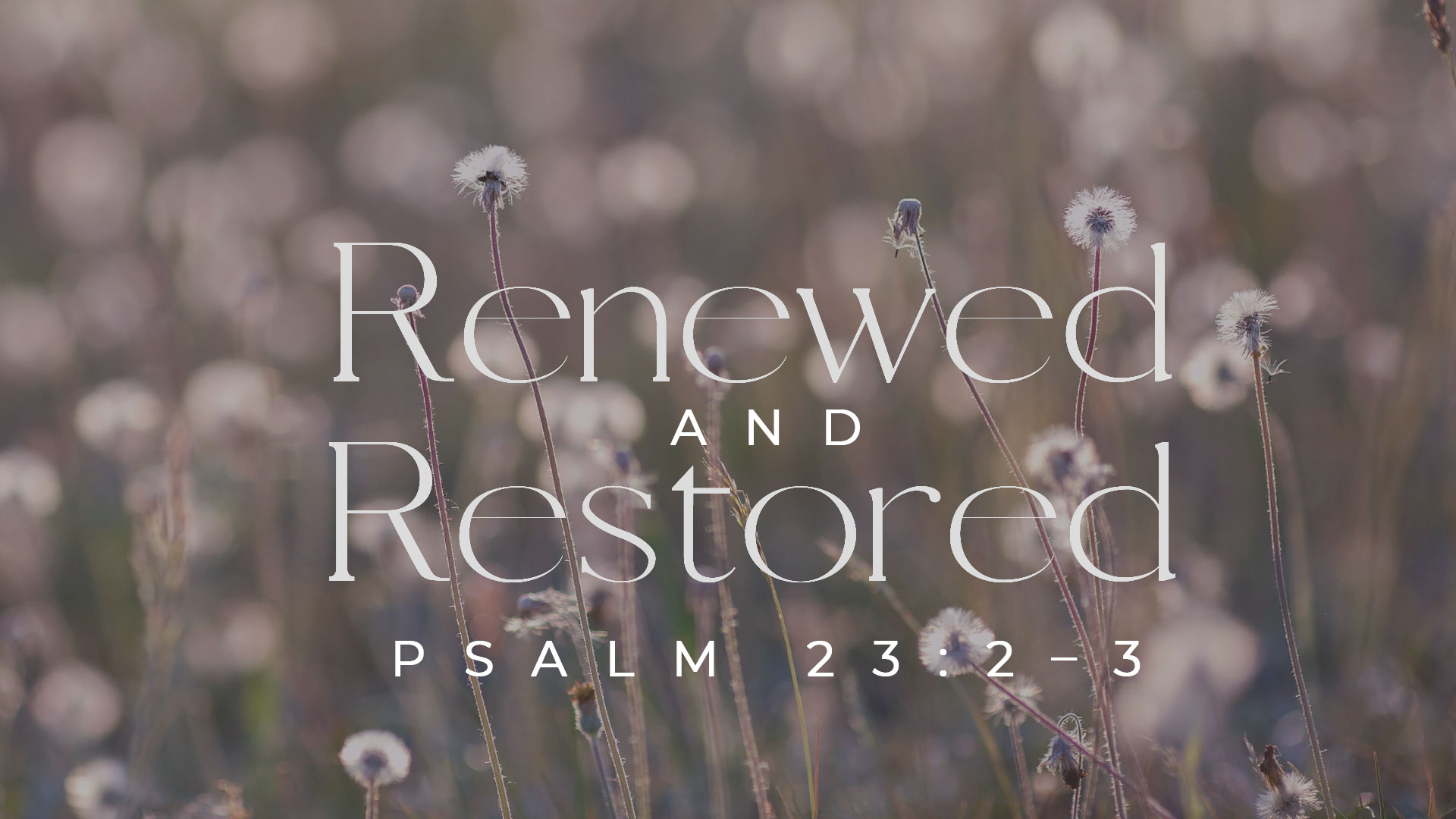 Lifting Your Drooping Head | Revive Our Hearts Episode | Revive Our Hearts