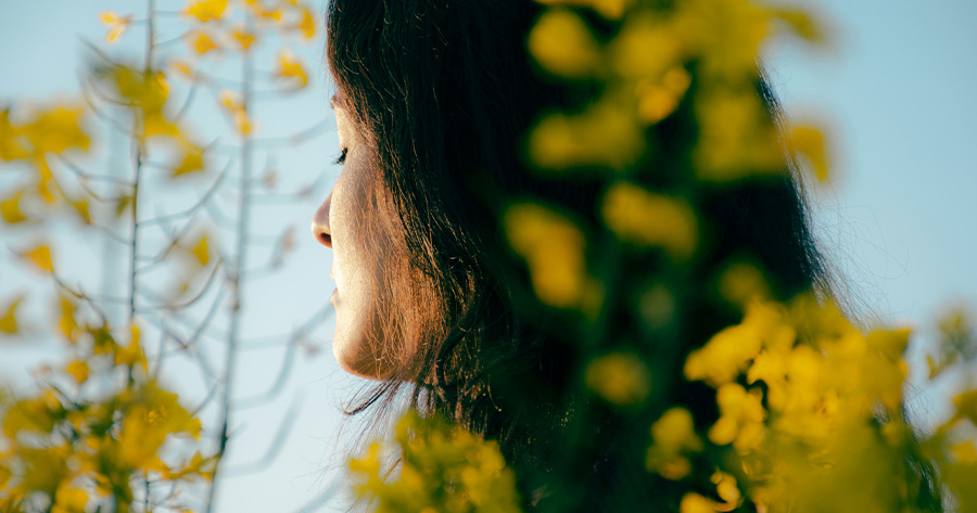 Leader, Revive Your Hope with a Place of Quiet Rest | Articles | Revive ...