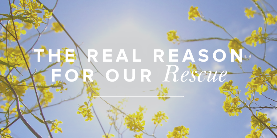 The Real Reason for Our Rescue | Revive Our Hearts Blog | Revive Our Hearts