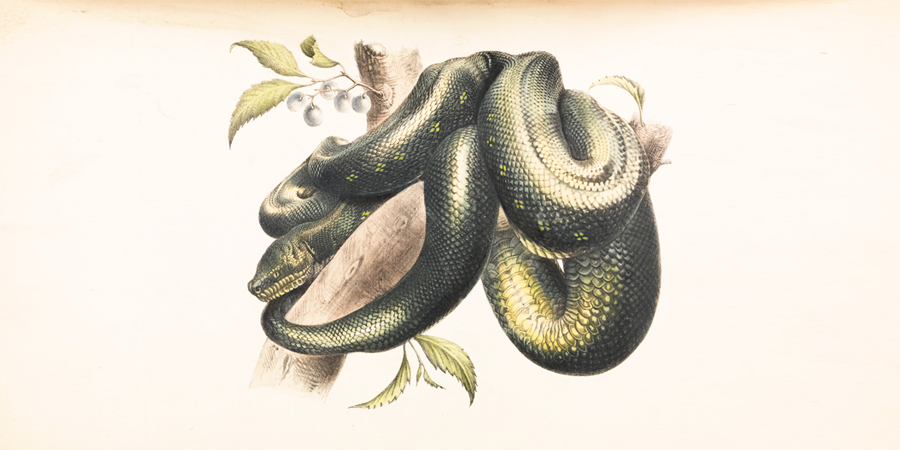 God’s Grace Still Triumphs in the Fall | Revive Our Hearts Blog ...