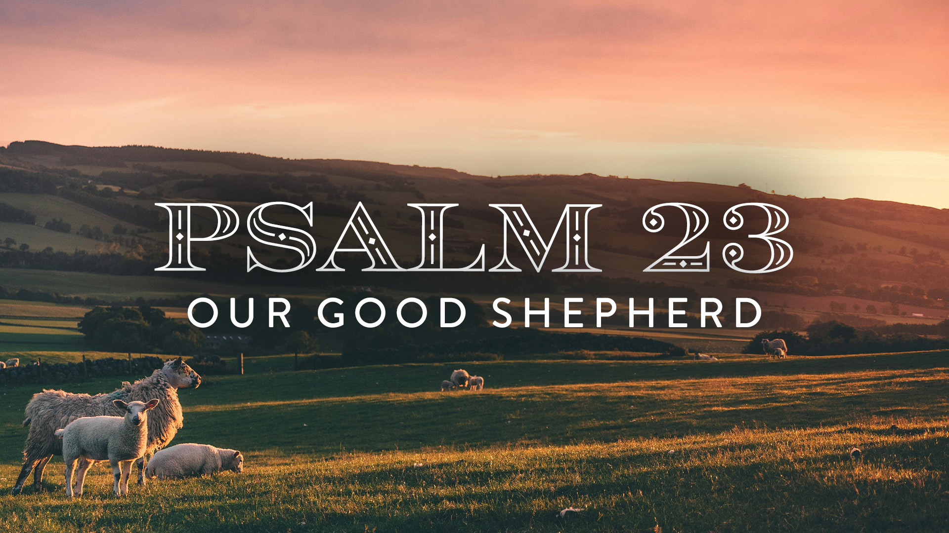Psalm 23: Our Good Shepherd | Revive Our Hearts Episode | Revive Our Hearts