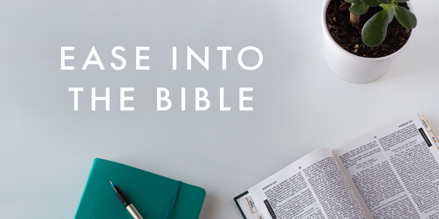 How Is the Old Testament Organized? | Revive Our Hearts Blog | Revive ...