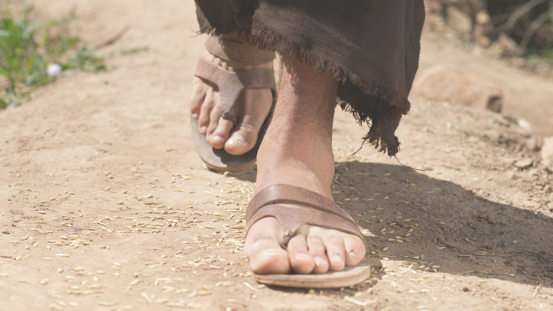 Two Lost Sons | Seeking Him Episode | Revive Our Hearts