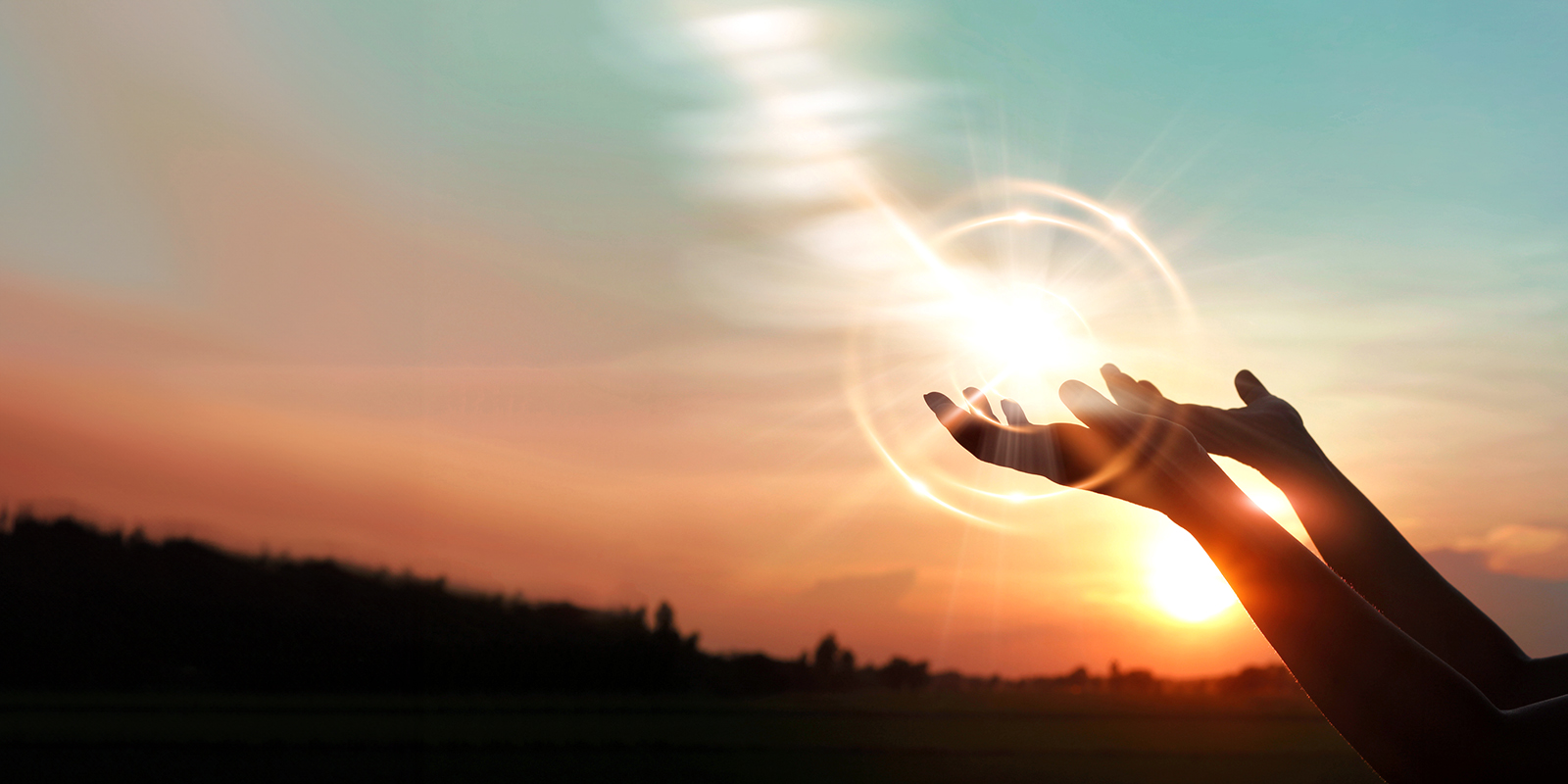 Living the Surrendered Life | Articles | Revive Our Hearts