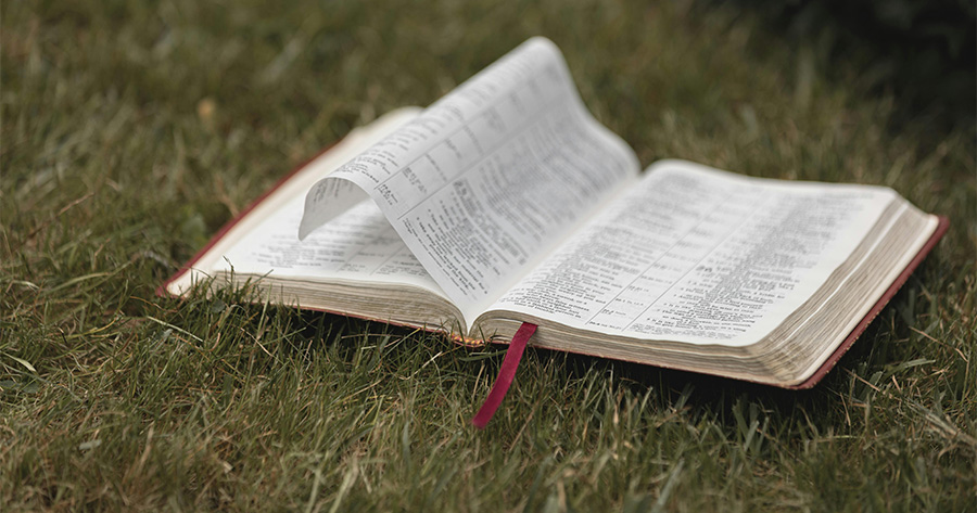 Start Here: How to Begin Reading the Bible This Year | Revive Our ...