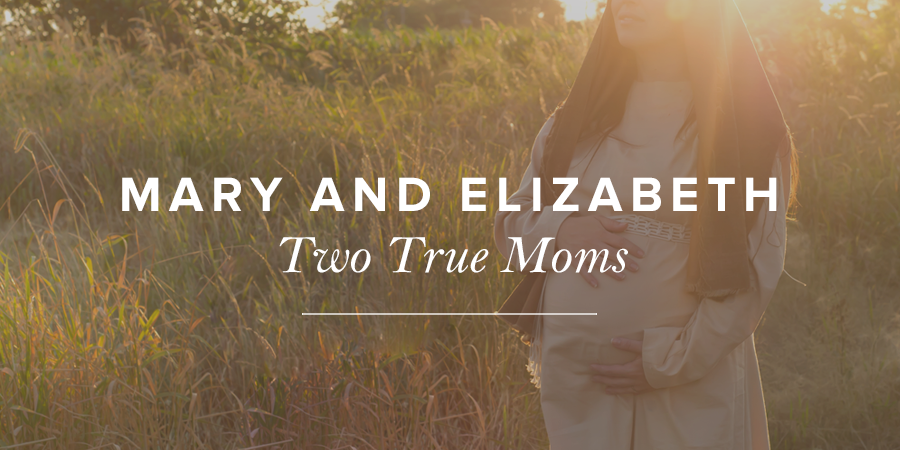 Mary and Elizabeth—Two True Women | Revive Our Hearts Blog | Revive Our ...