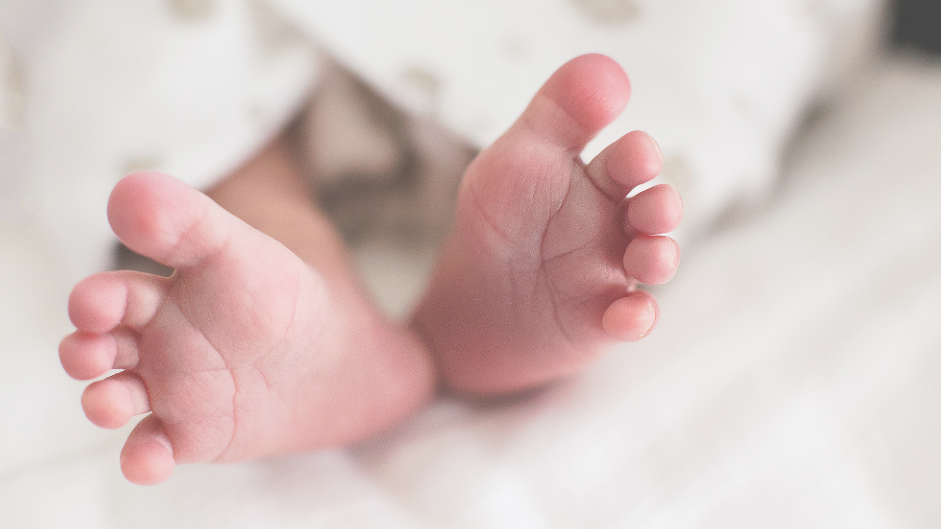 Choose Life | Seeking Him Episode | Revive Our Hearts