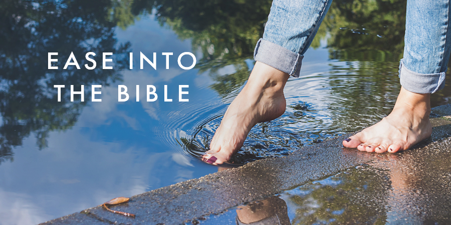 How To Read The Bible Without Missing The Point Revive Our Hearts
