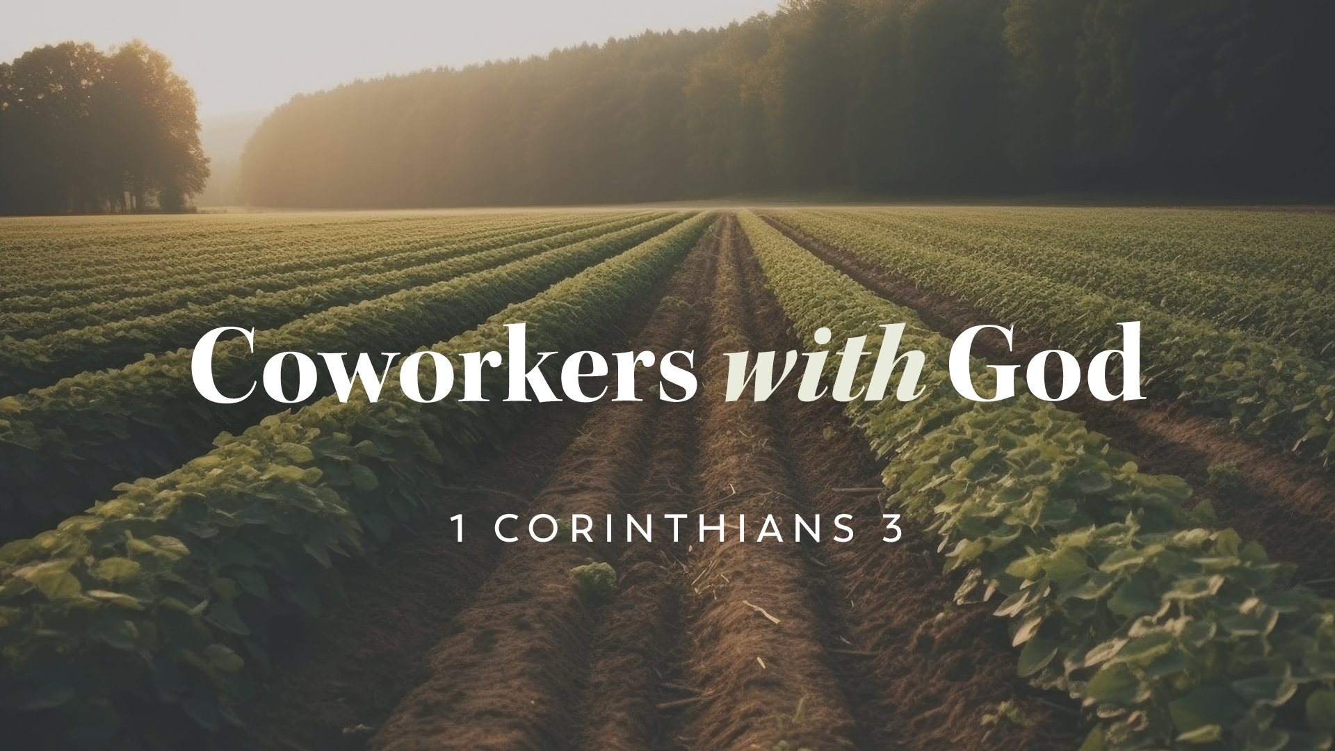 Coworkers with God | Revive Our Hearts Episode | Revive Our Hearts