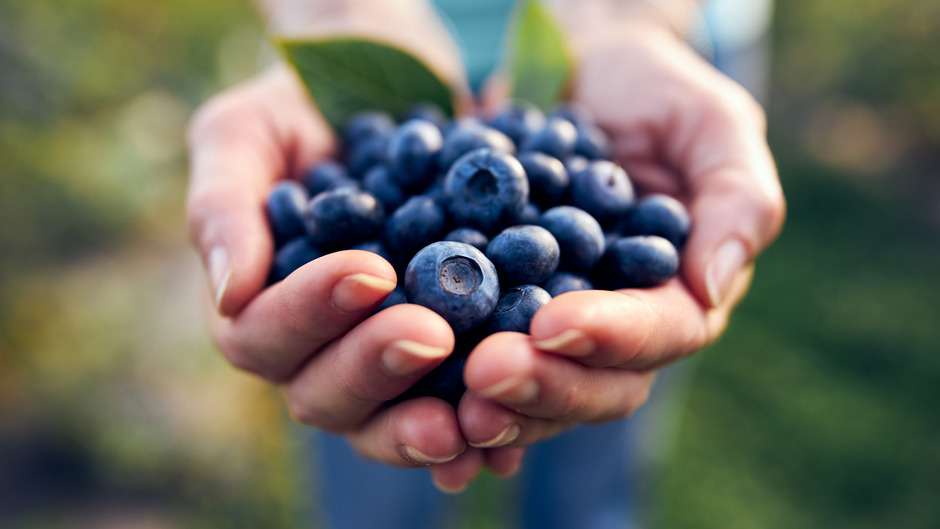 Experiencing the Satisfaction of Fruitfulness | Revive Our Hearts ...
