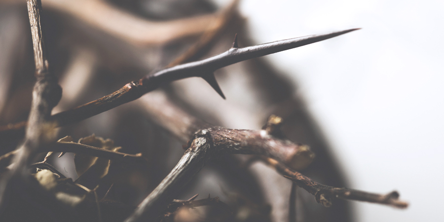 Offer Your Thorn to the Glory of God | Revive Our Hearts Blog | Revive ...
