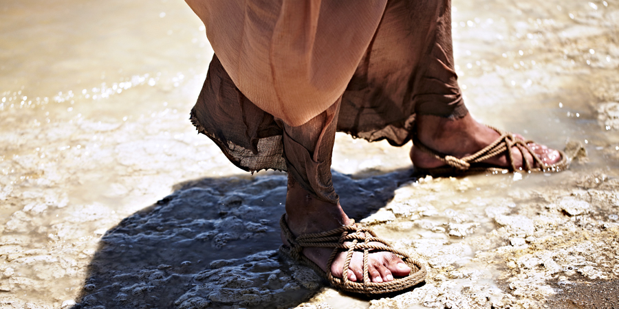 10 Things Jesus Didn’t Do | Revive Our Hearts Blog | Revive Our Hearts