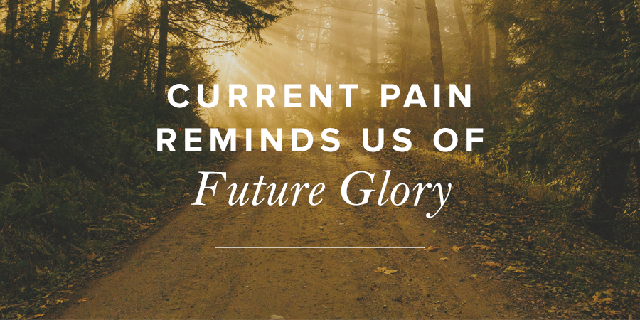 Current Pain Reminds Us of Future Glory | Revive Our Hearts Blog ...
