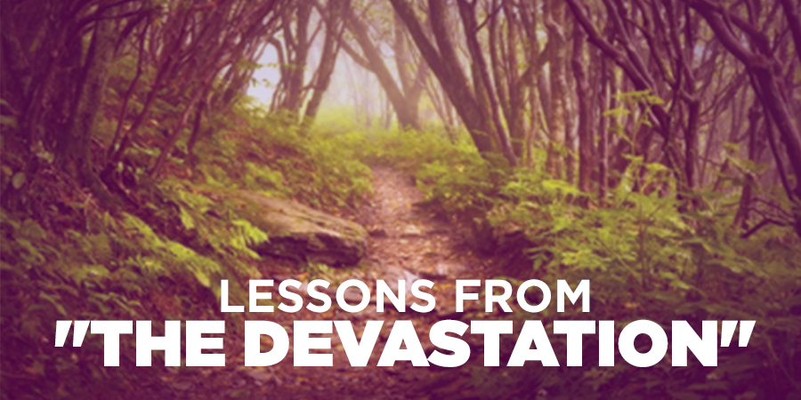 Lessons from "The Devastation" | Revive Our Hearts Blog | Revive Our Hearts