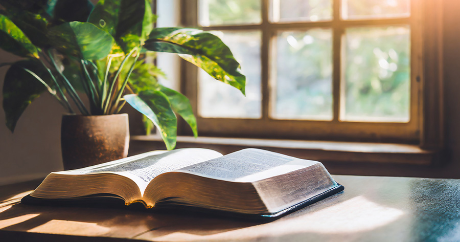 What’s So Wonderful About the Word? | Revive Our Hearts Blog | Revive ...