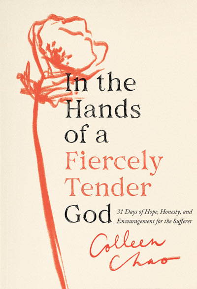 In the Hands of a Fiercely Tender God | Books | Revive Our Hearts