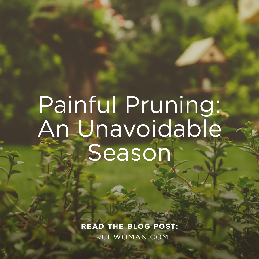 Pruning Bible Quotes