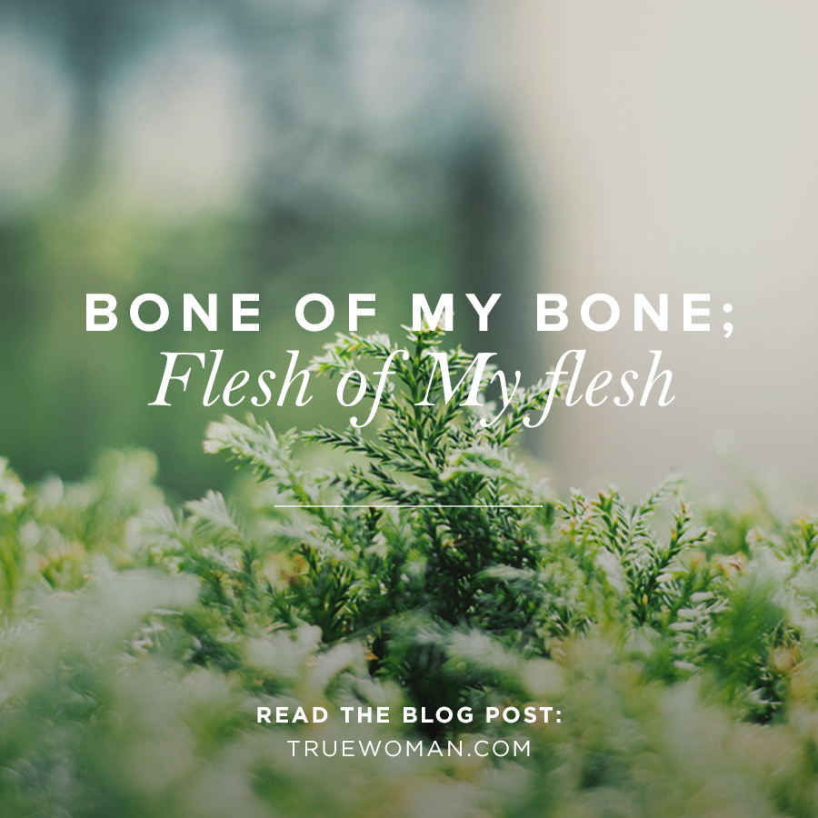 Bone of My Bone; Flesh of My Flesh | Revive Our Hearts Blog | Revive ...