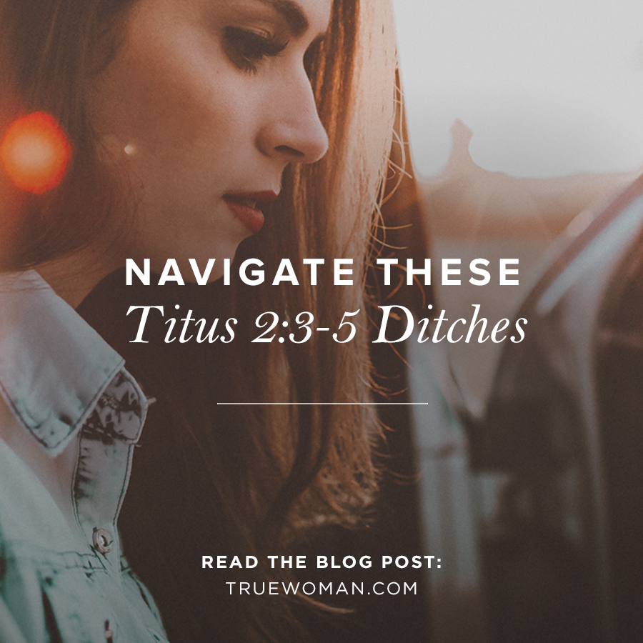 Navigate These Titus 2:3-5 Ditches | Revive Our Hearts Blog | Revive ...