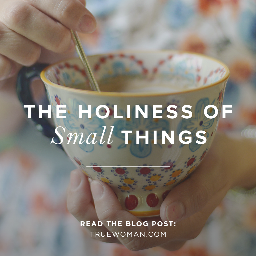 The Holiness of Small Things | Revive Our Hearts Blog | Revive Our Hearts