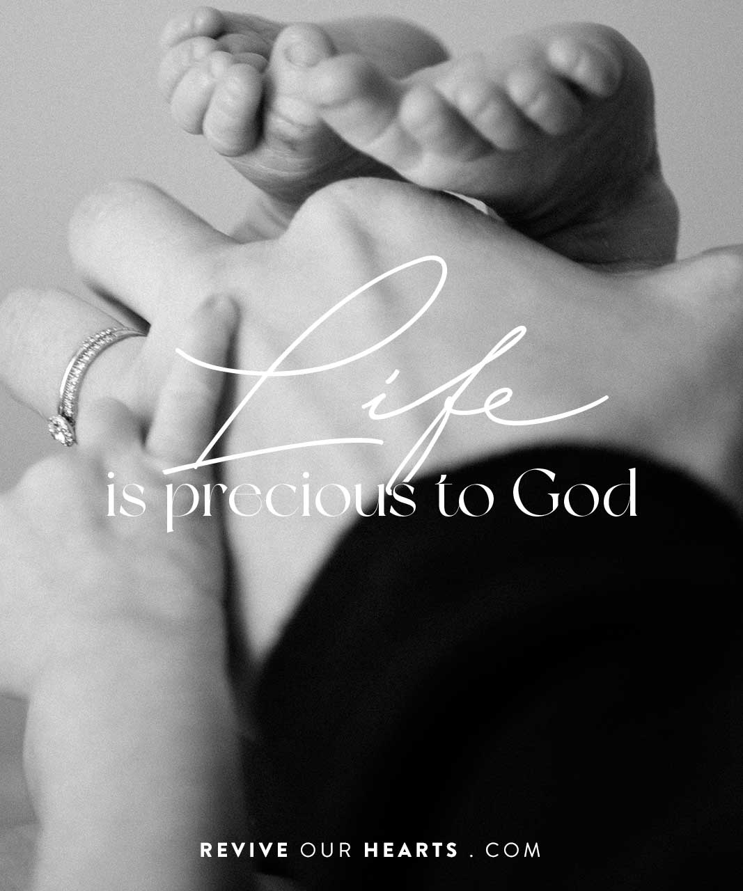 Revive Our Hearts podcast episodes by season: Life Is Precious to God ...