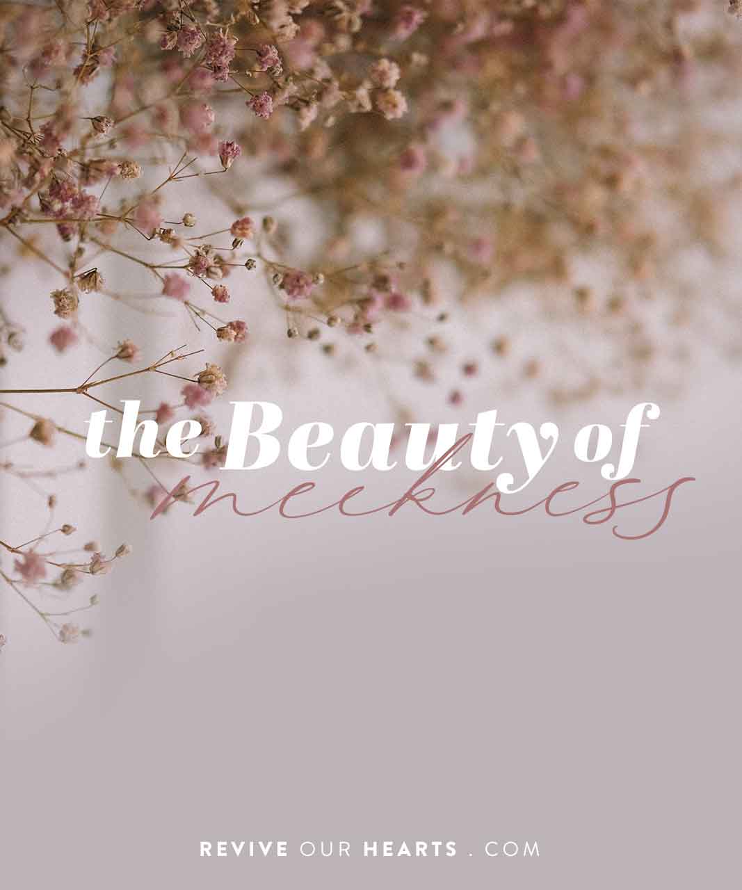 Revive Our Hearts podcast episodes by season: The Beauty of Meekness ...