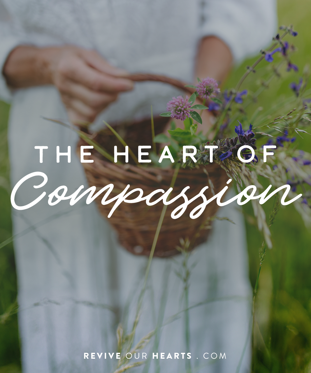 Revive Our Hearts podcast episodes by season: The Heart of Compassion ...