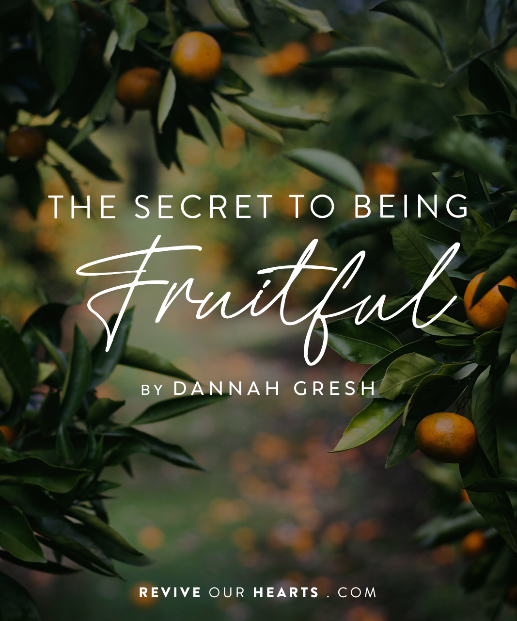 Revive Our Hearts podcast episodes by season: The Secret to Being ...