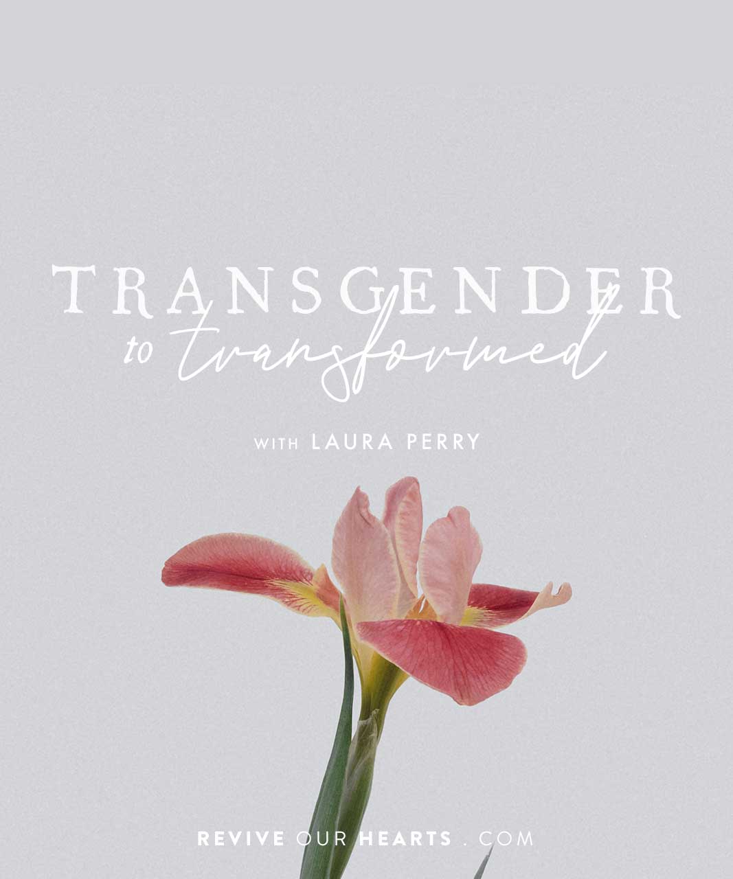 Revive Our Hearts podcast episodes by season: Transgender to ...