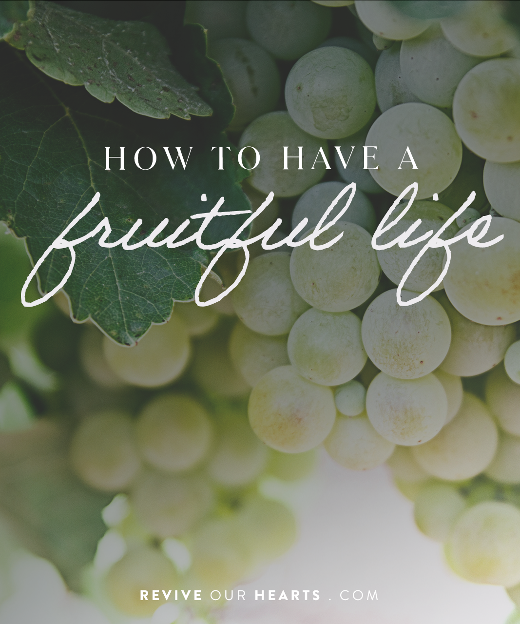 How to Have a Fruitful Life | Revive Our Hearts