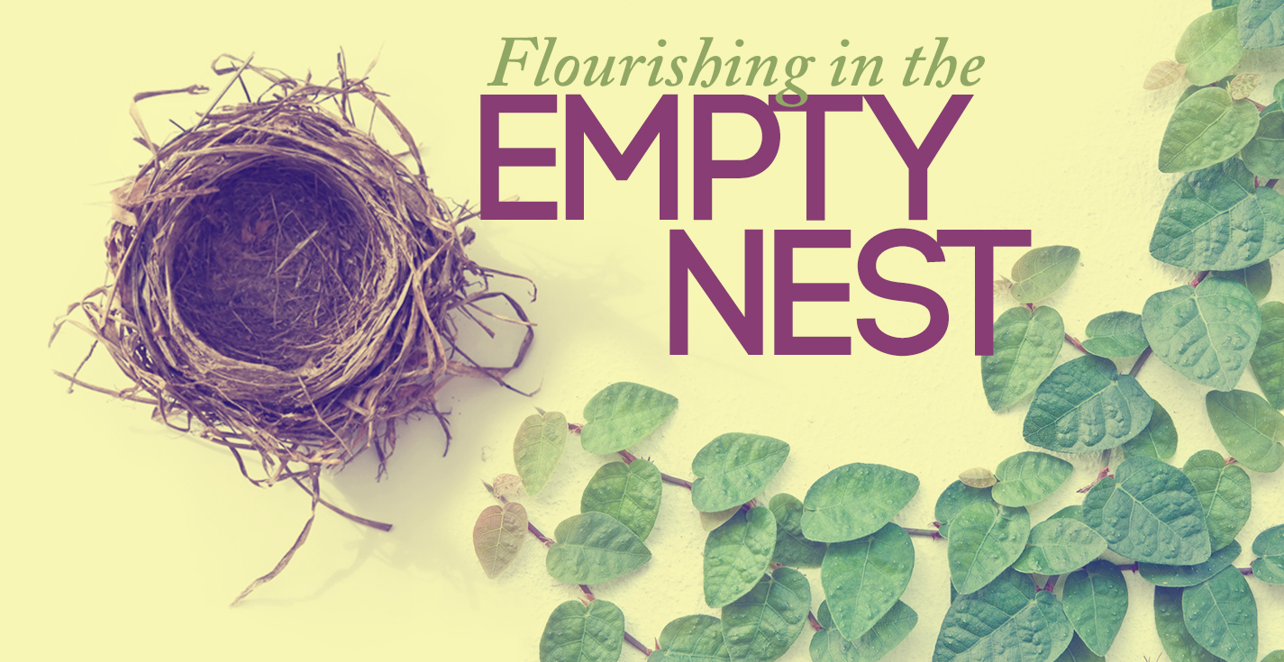 Angry Birds Empty Nest